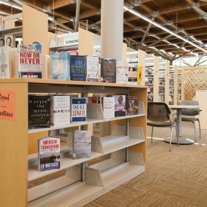 Library Shelving for a Functional, Beautiful and Peaceful Setting