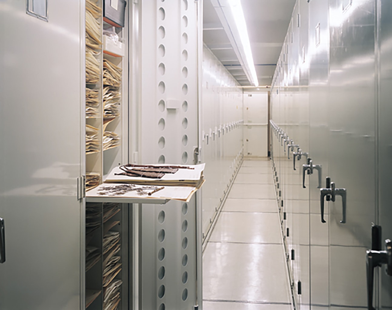 Museum Cabinets, Entomology Cabinets & Conservation Storage | PP
