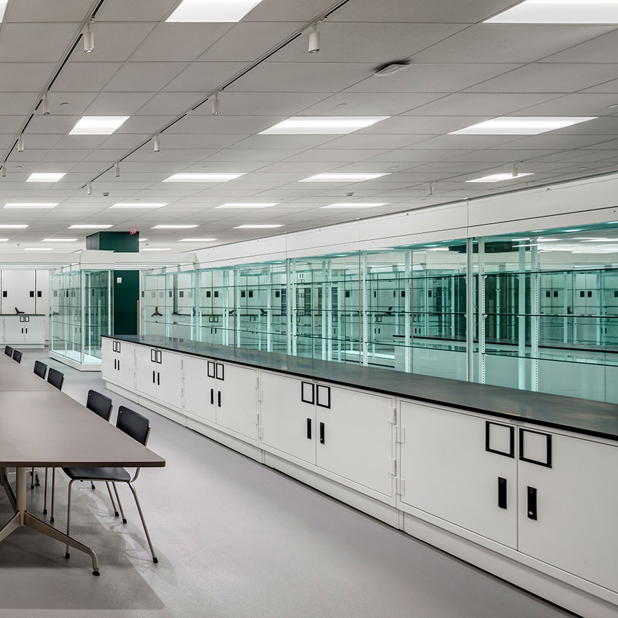 Museum Storage: Cabinets, Art Racks, Compactors | Patterson Pope