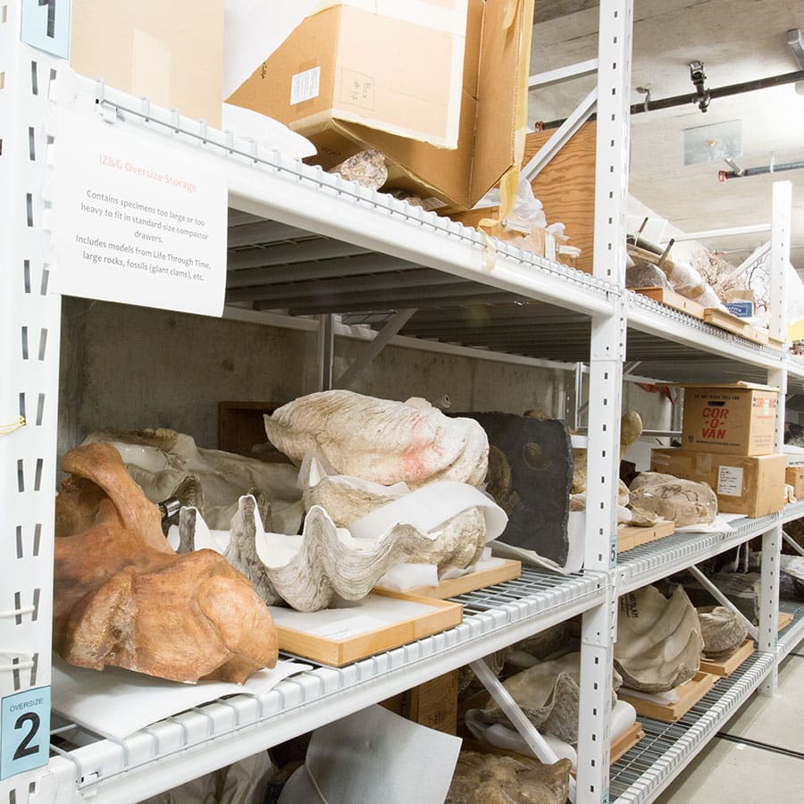 Museum Storage: Cabinets, Art Racks, Compactors | Patterson Pope