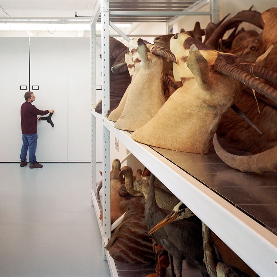Museum Storage: Cabinets, Art Racks, Compactors | Patterson Pope