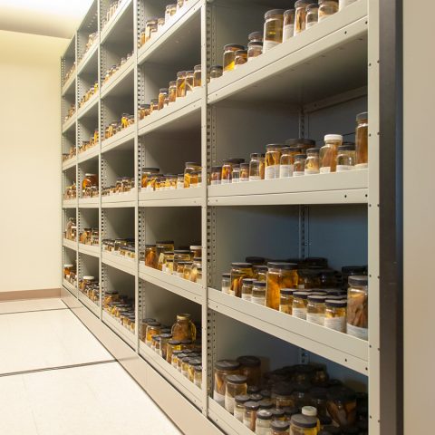 Education Storage: Files and Records | Patterson Pope