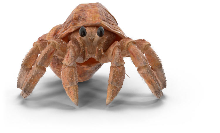 High Density Storage Solutions and Mobile Shelving | Patterson Pope