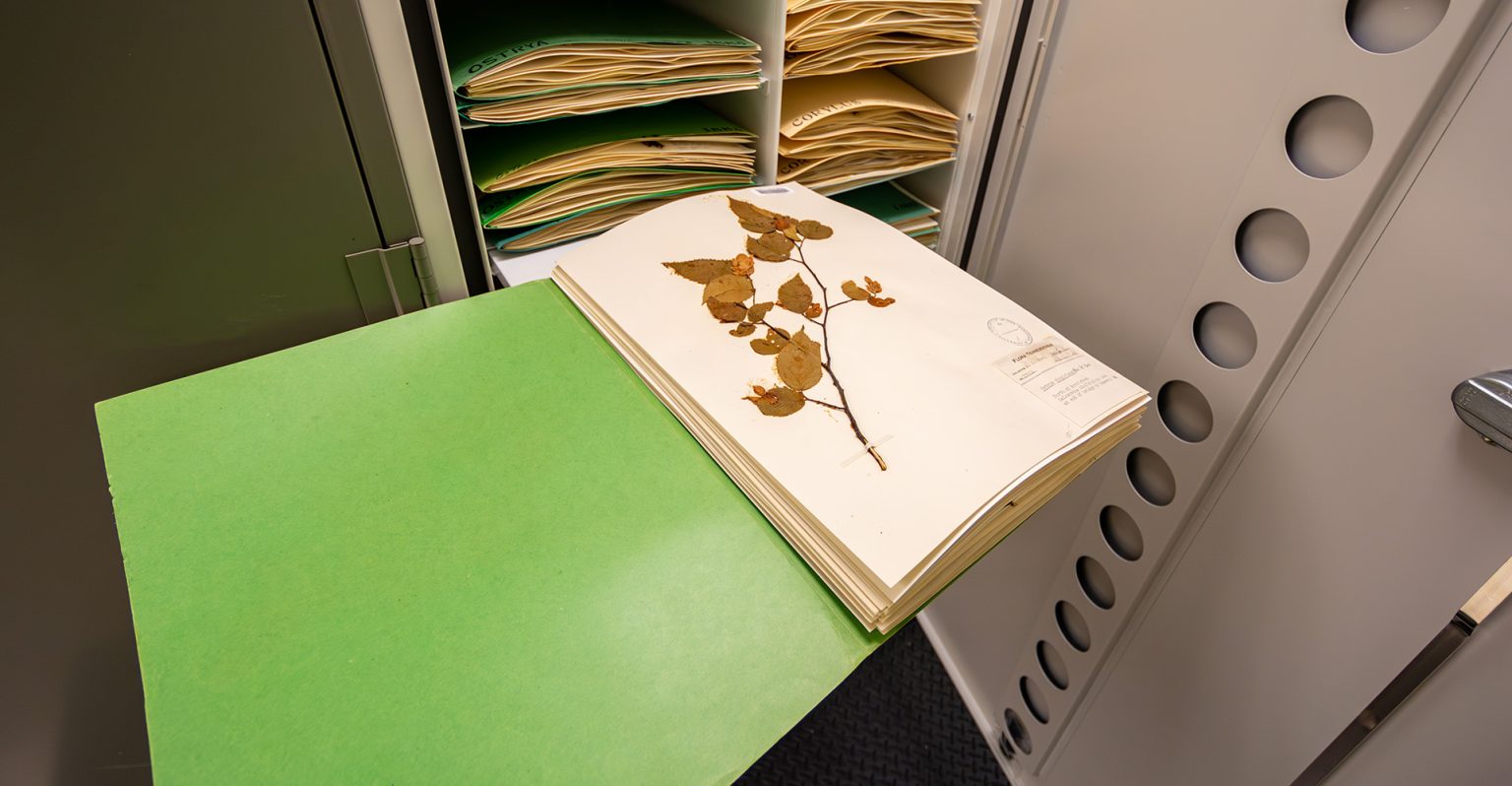 museum Archives - Patterson Pope