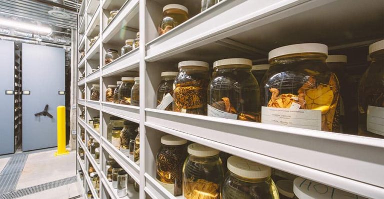 museum Archives - Patterson Pope